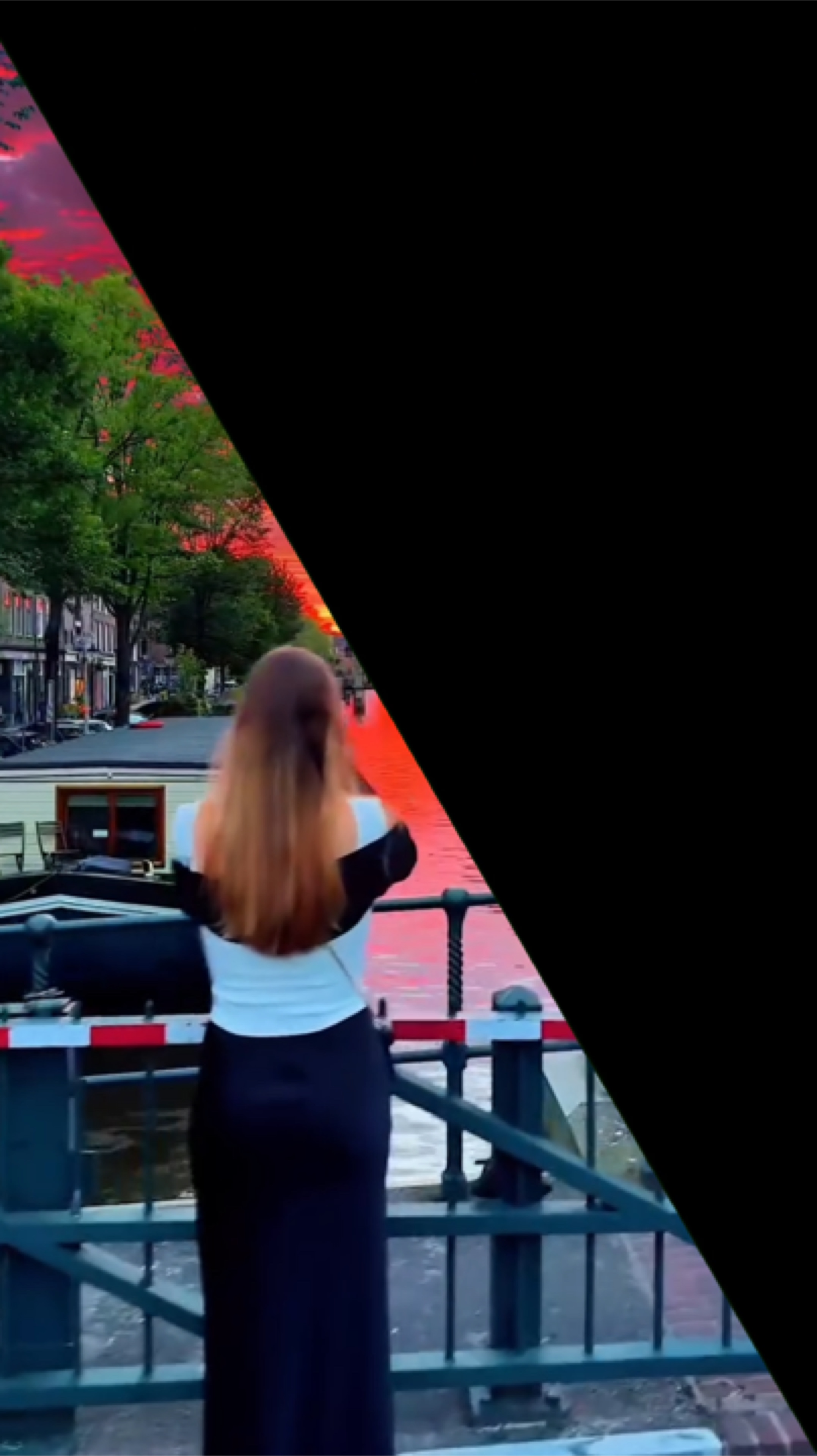 My Red Flag Filter - Pippit