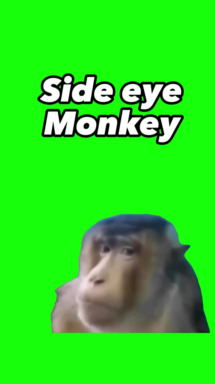 Straight Face Memes - Pippit