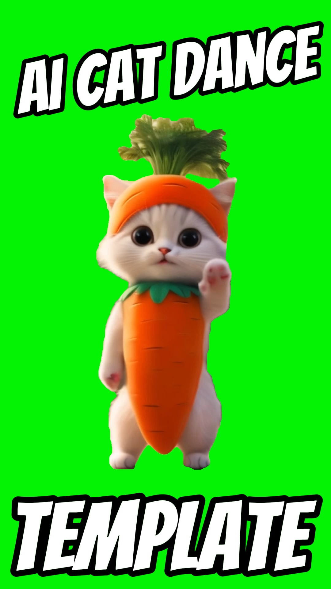 Dancing Cat AI Add Your Own - Pippit