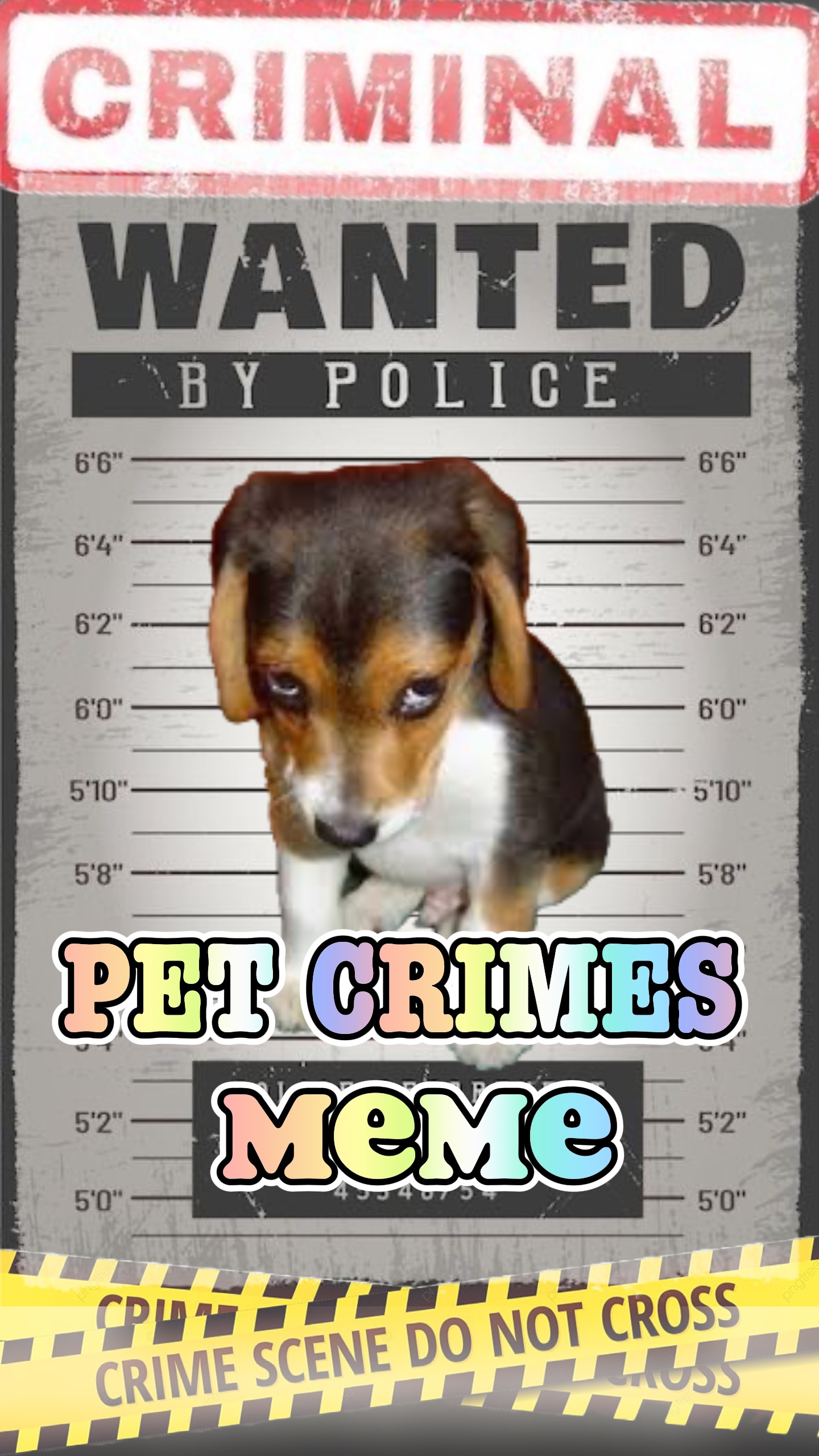 Dog Scared Meme - Pippit