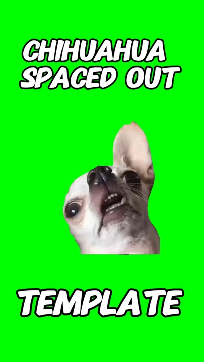 Dog Scared Meme - Pippit