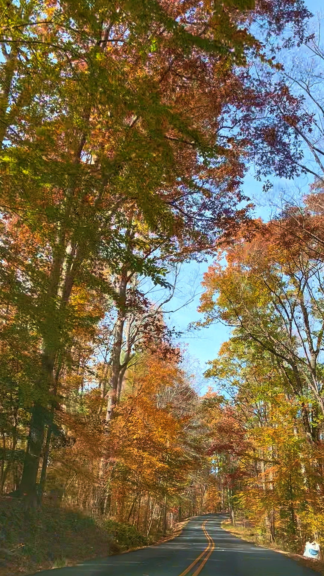 Slow Motion Template 2 Minute - Pippit