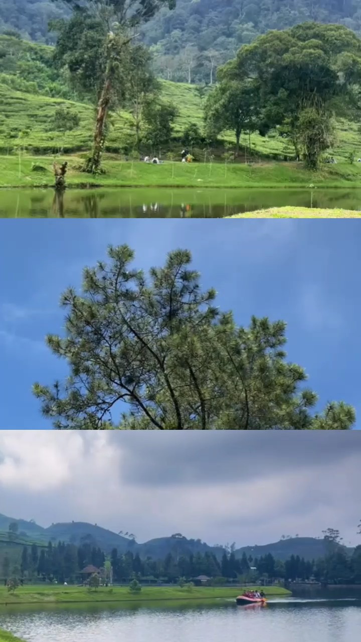 Three Village Video Templates - Pippit