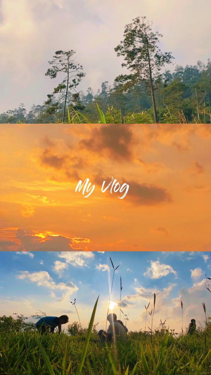 4 Video Clips Templates - Pippit