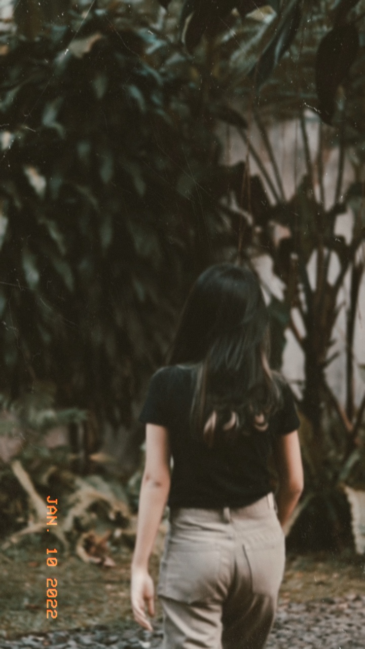 Camera Roll Film Picture - Pippit