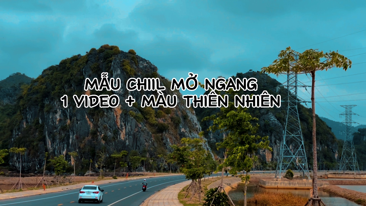 One Video Only Template Vertical - Pippit