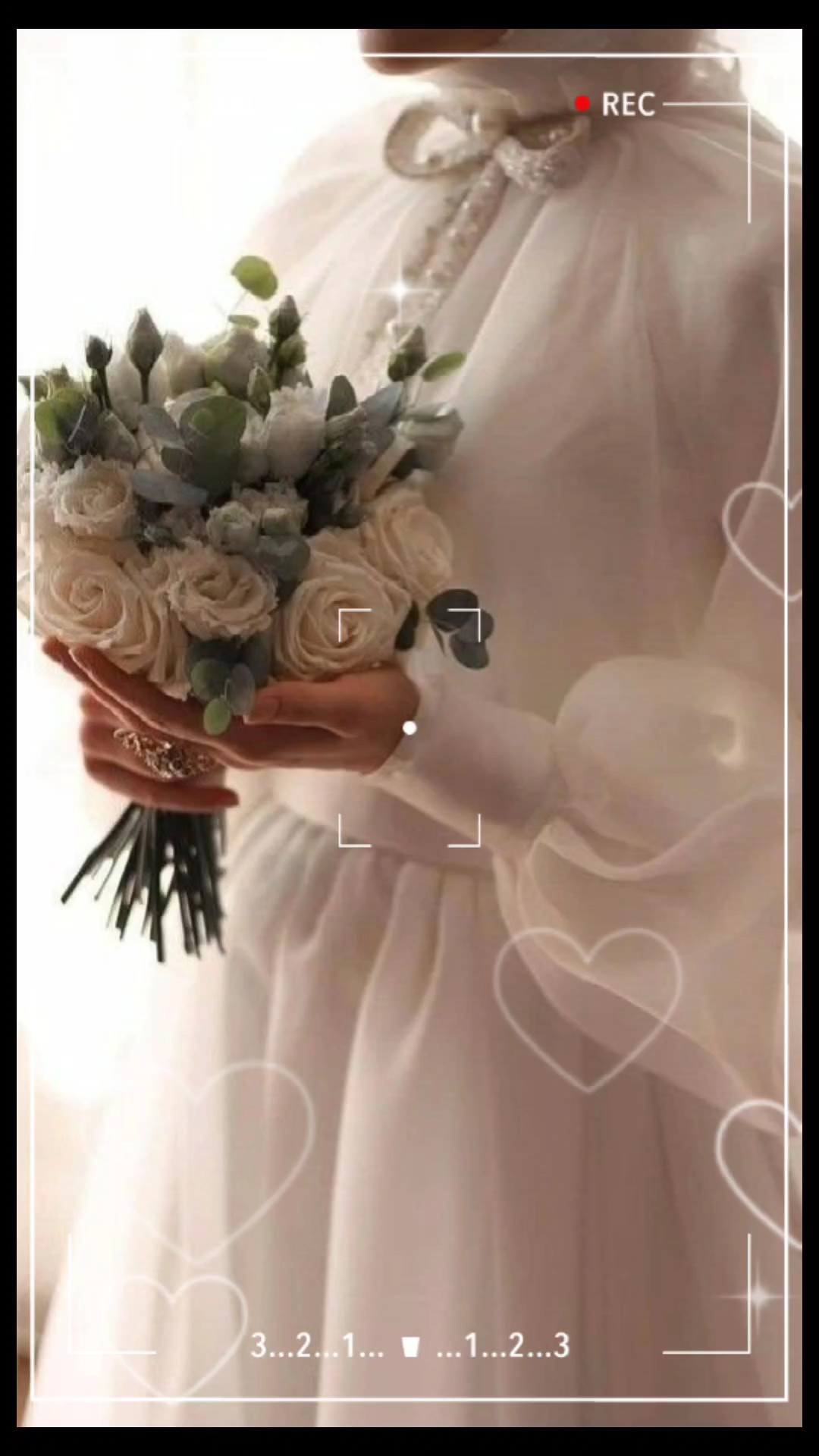 Wedding Wish Templates - Pippit