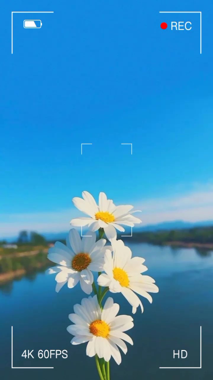 Flower New Trends CapCut Template - Pippit