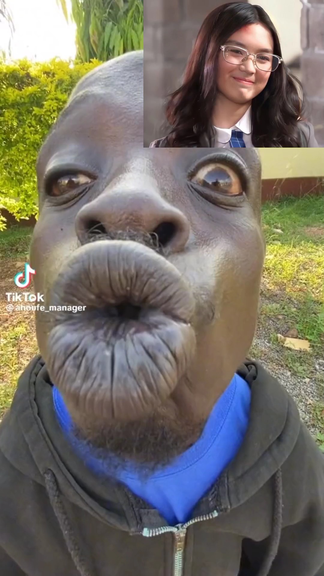 Beso Meme - Pippit