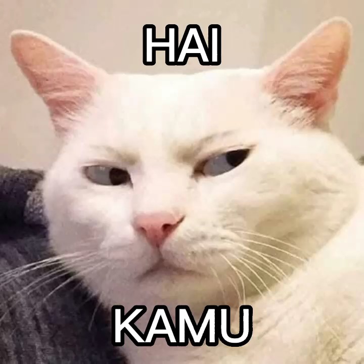 cat meme - CapCut