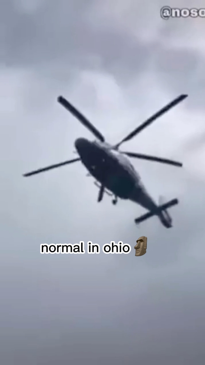 Memes With No Text - Pippit