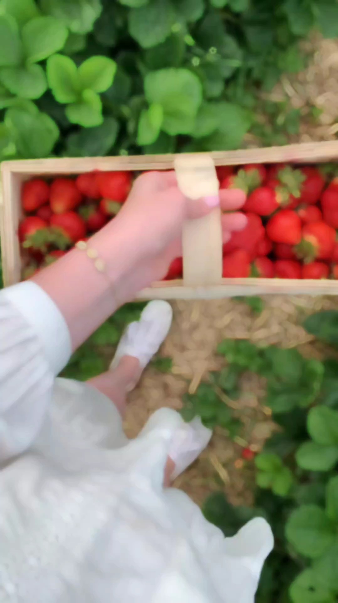 2 Videos Fast Slow Templates - Pippit