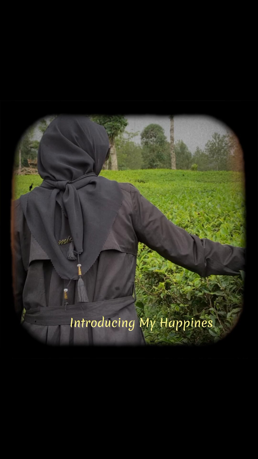 Introducing My happi - CapCut