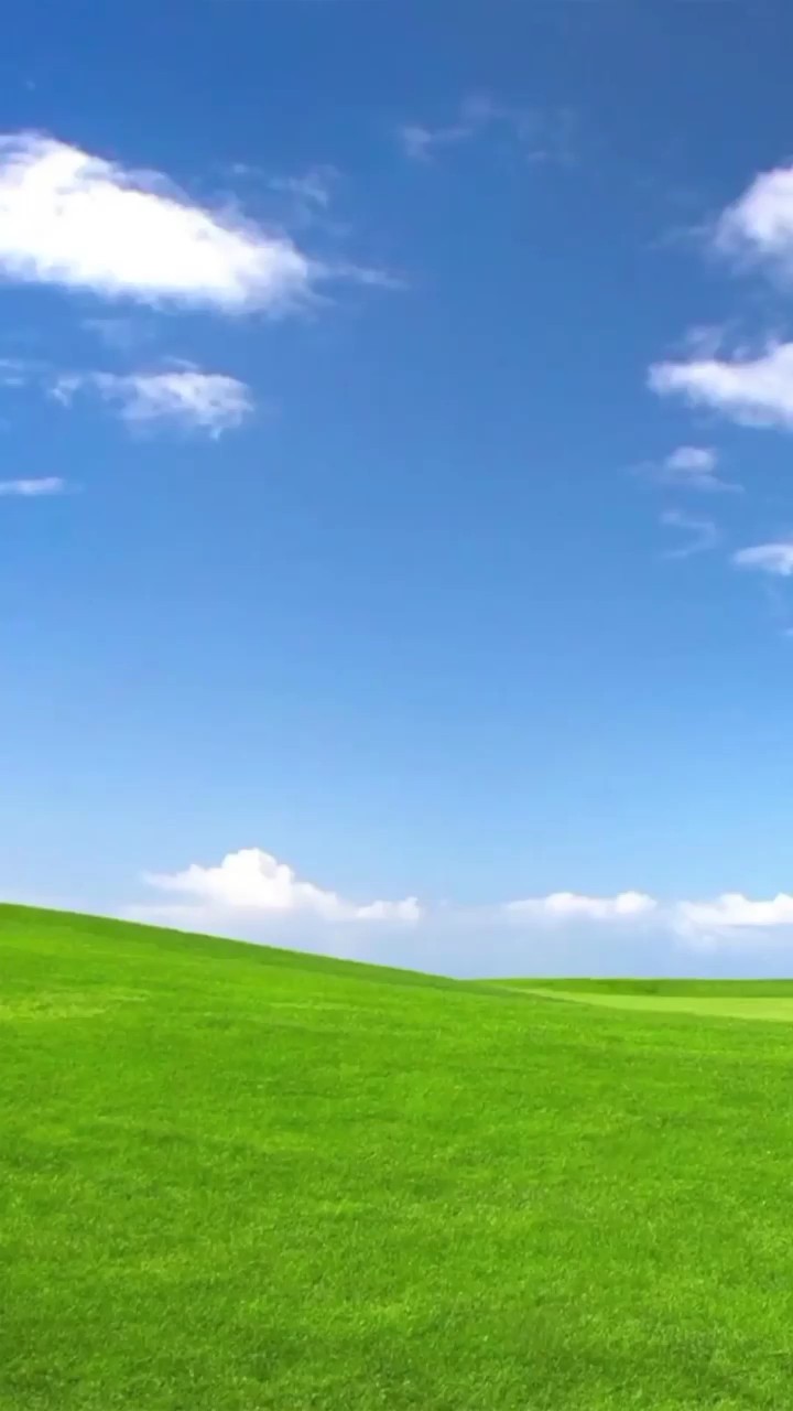 Funny Birthday Meme Template - Pippit