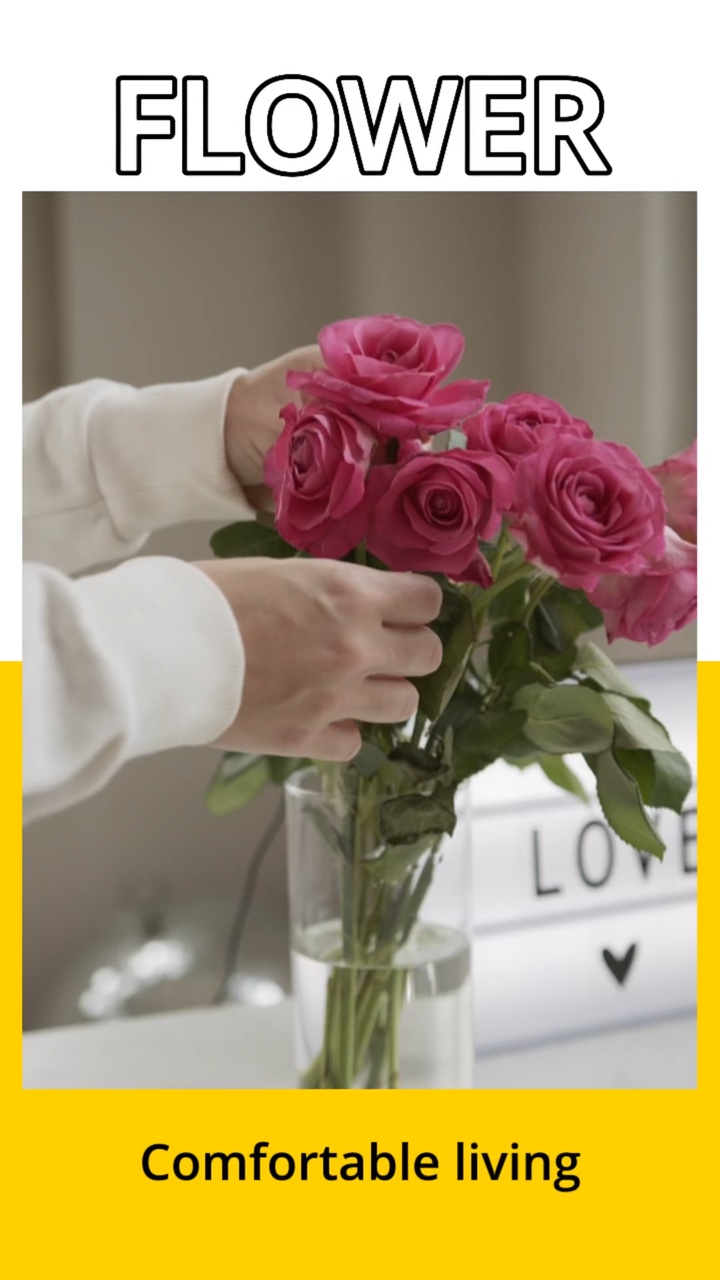 Lighting Decorations Template - Pippit