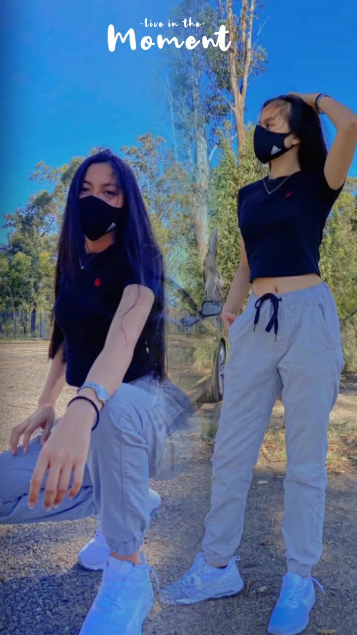 2-Sided Frame Templates - Pippit