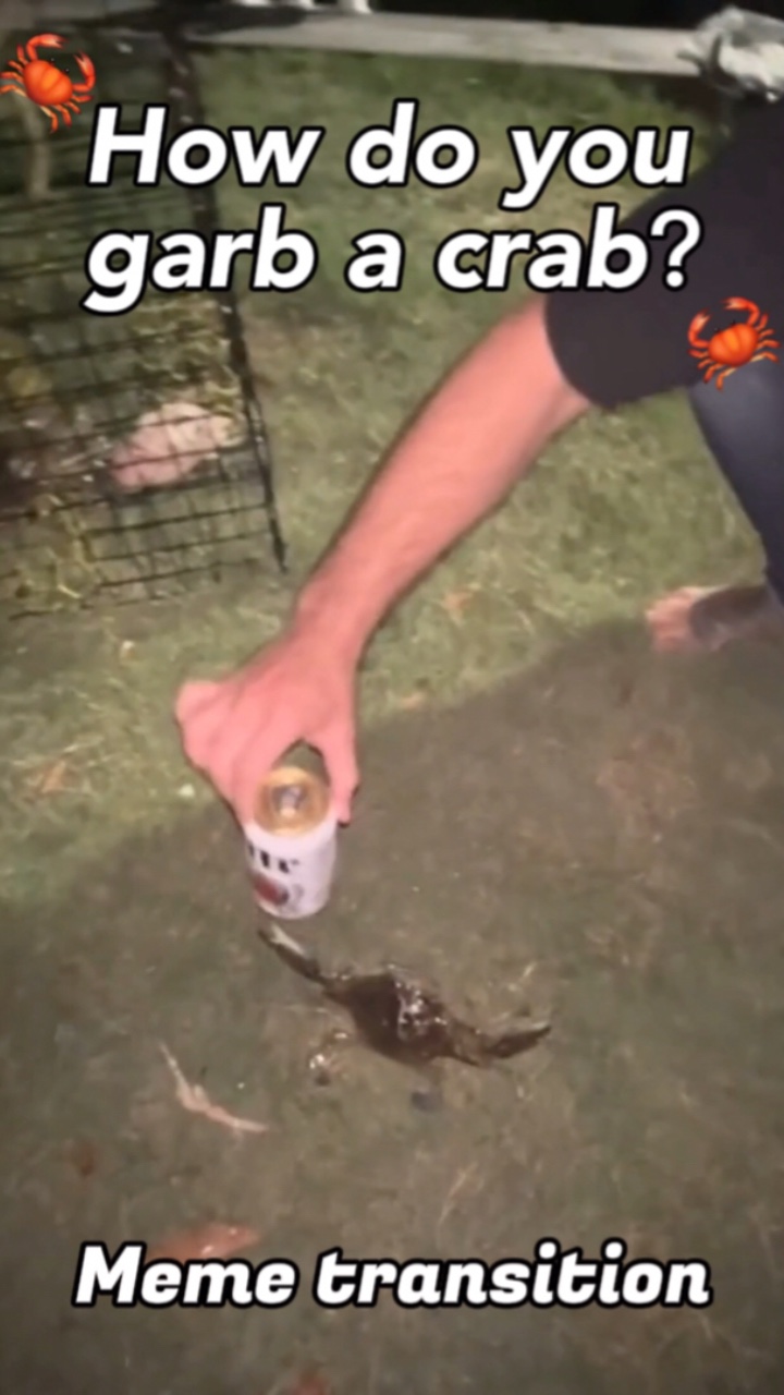 CapCut Meme Template Indo - Pippit