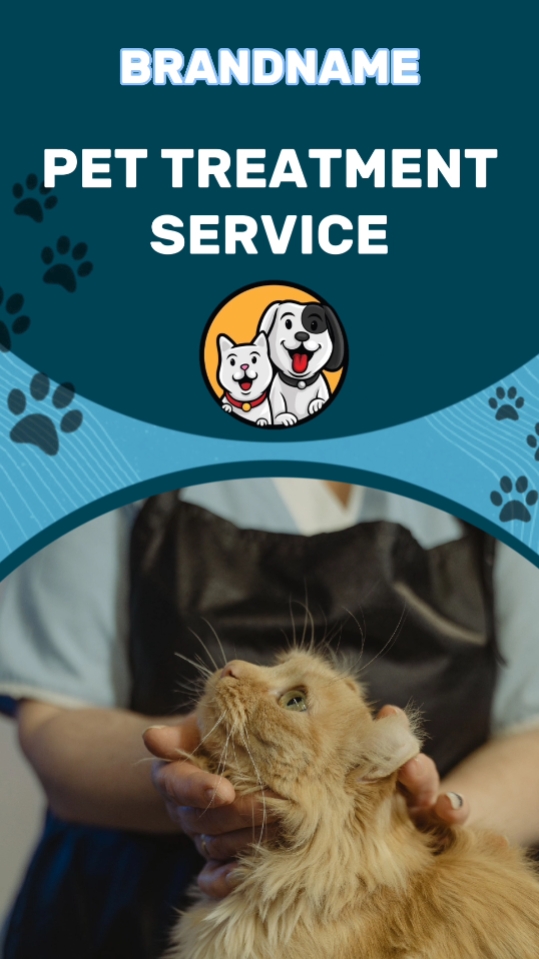 Cat Sora.ai - Pippit