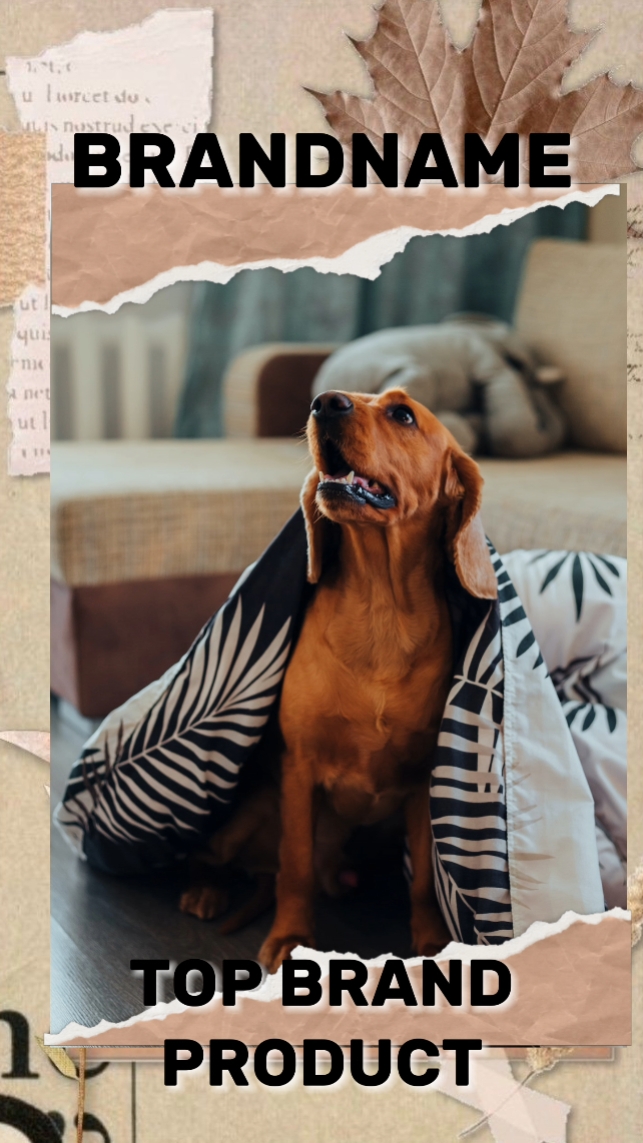 what to do with paper cut outs - Pippit