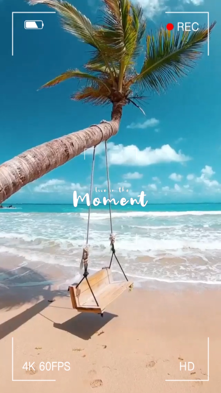 Video Hanging Template - Pippit