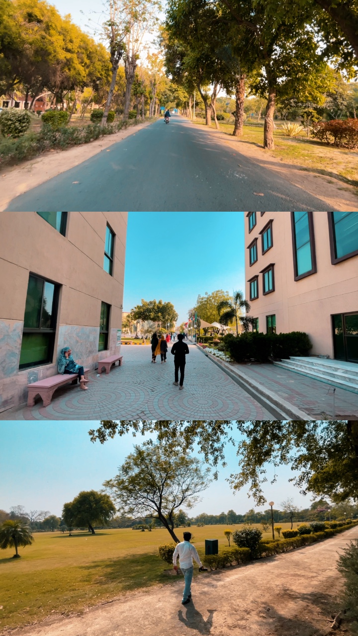 CapCut Temple - Pippit