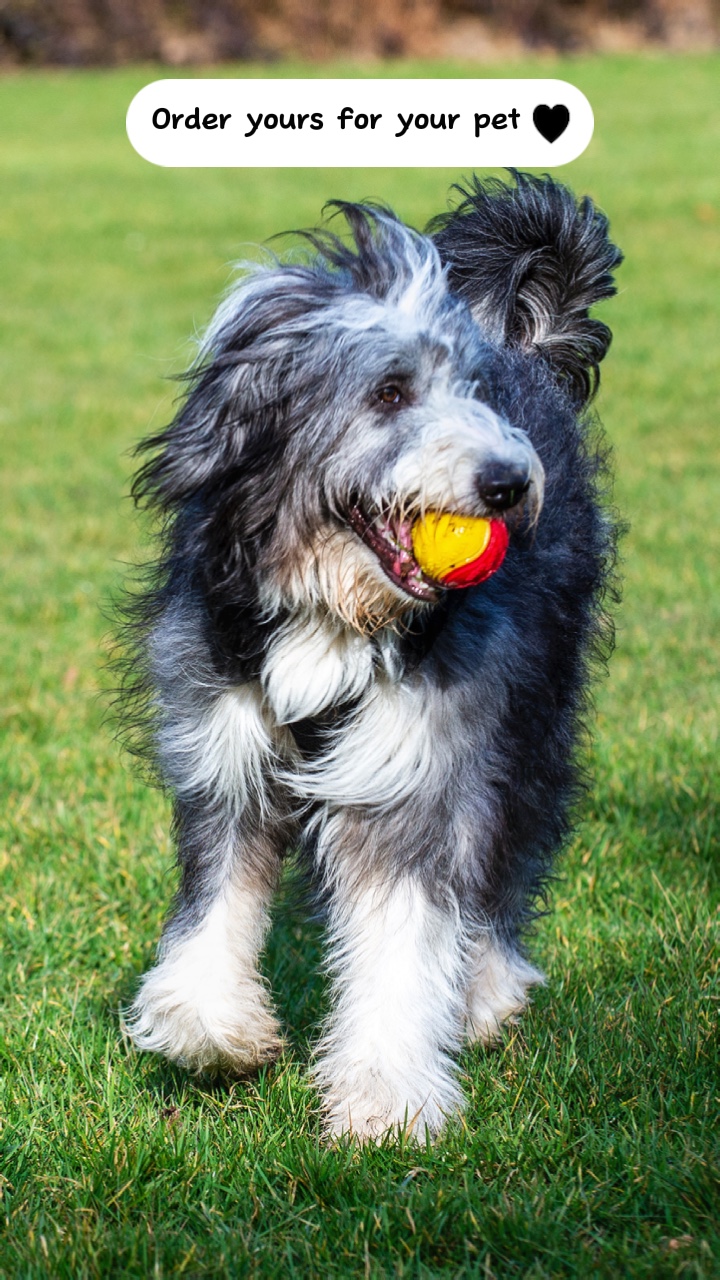 Minecraft Edit Up - Pippit