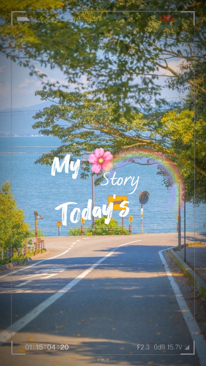 Dump Photos 8 Photos Templates - Pippit