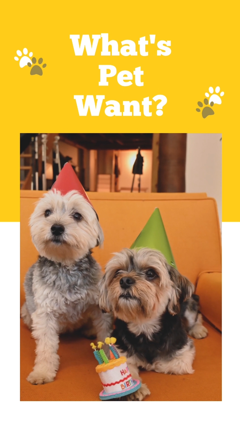 Cutout Template Me and Brother - Pippit