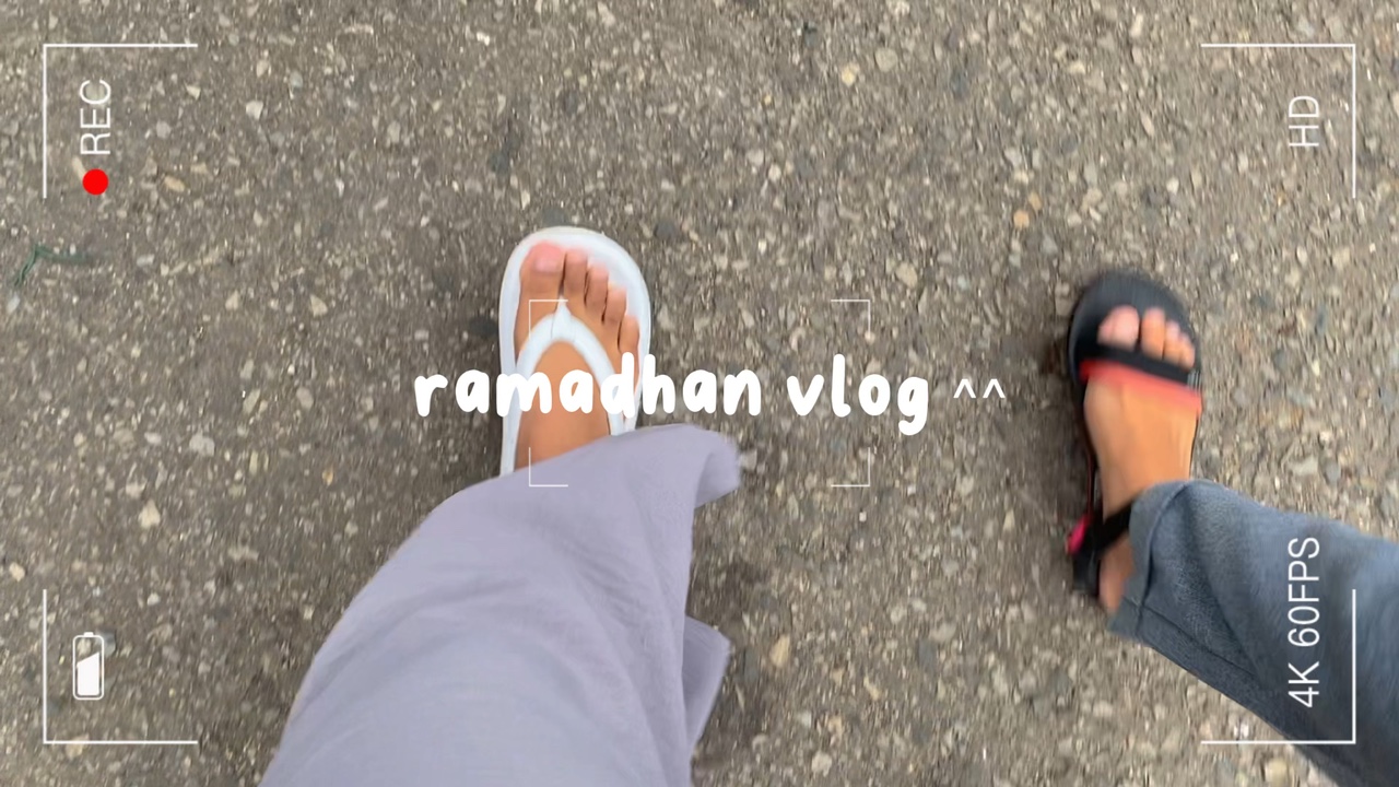 Free YouTube Video Template - Pippit