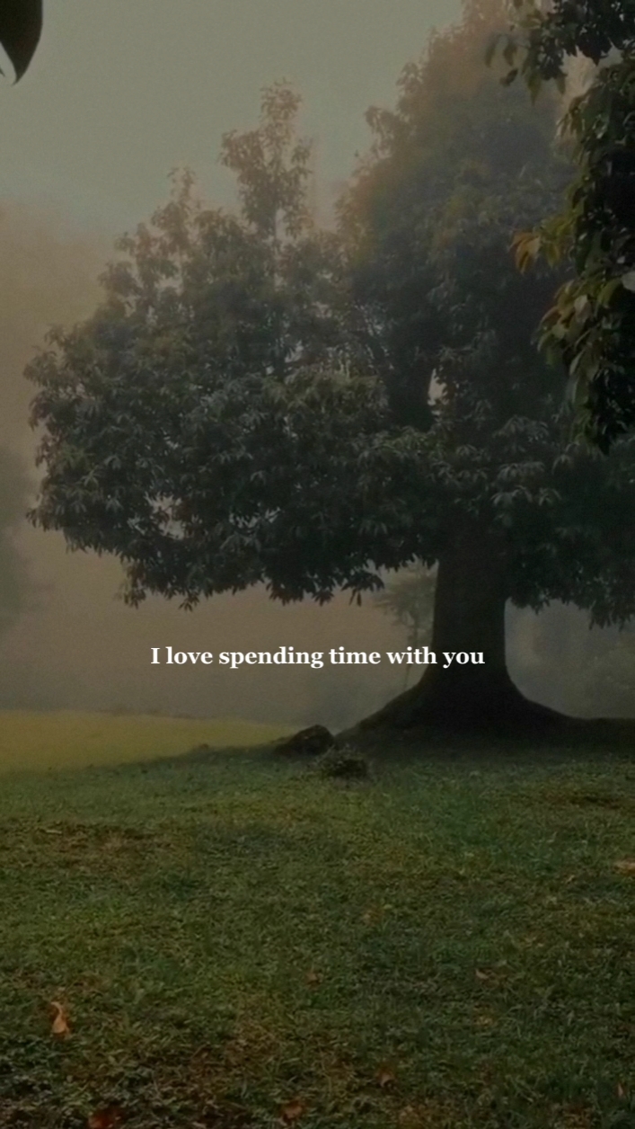 LifePartner Video Templates - Pippit