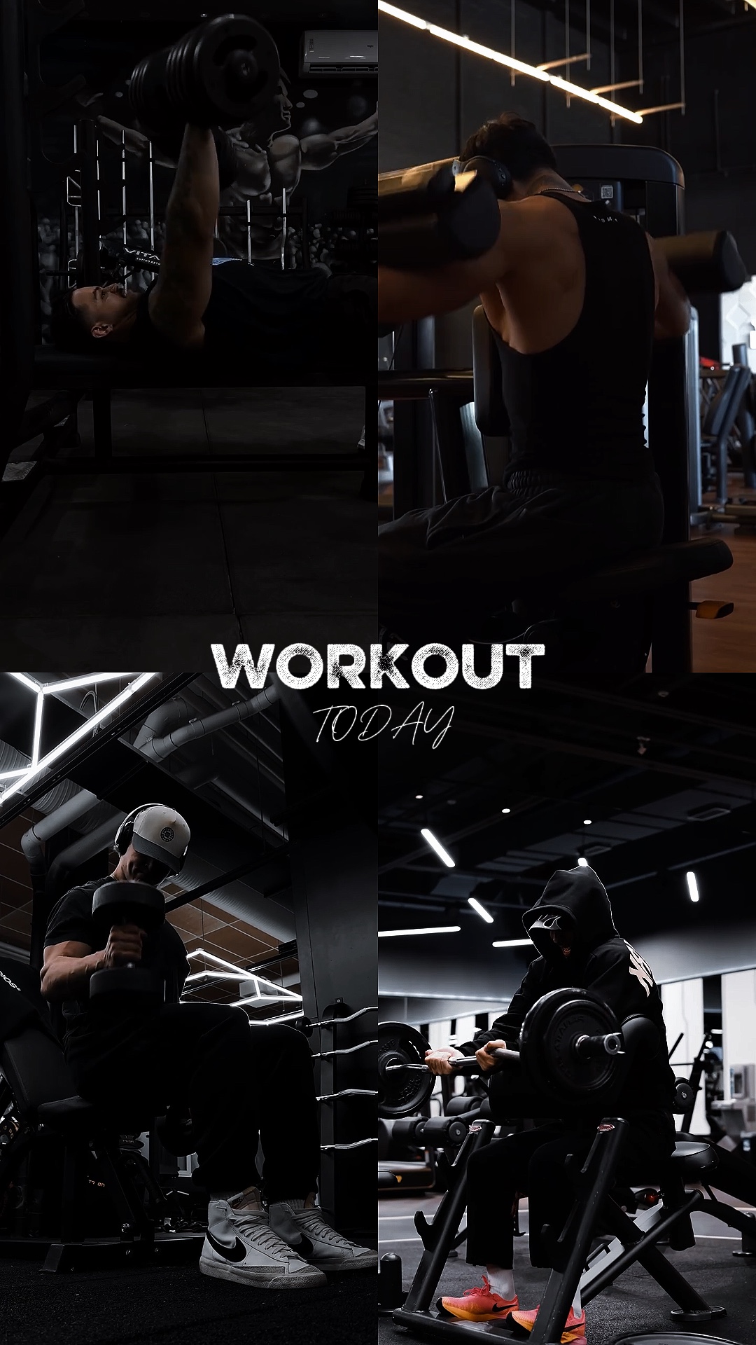 Gym Template Editing - Pippit