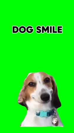 Happy Dog Meme: Discover Funniest Dog Memes Online