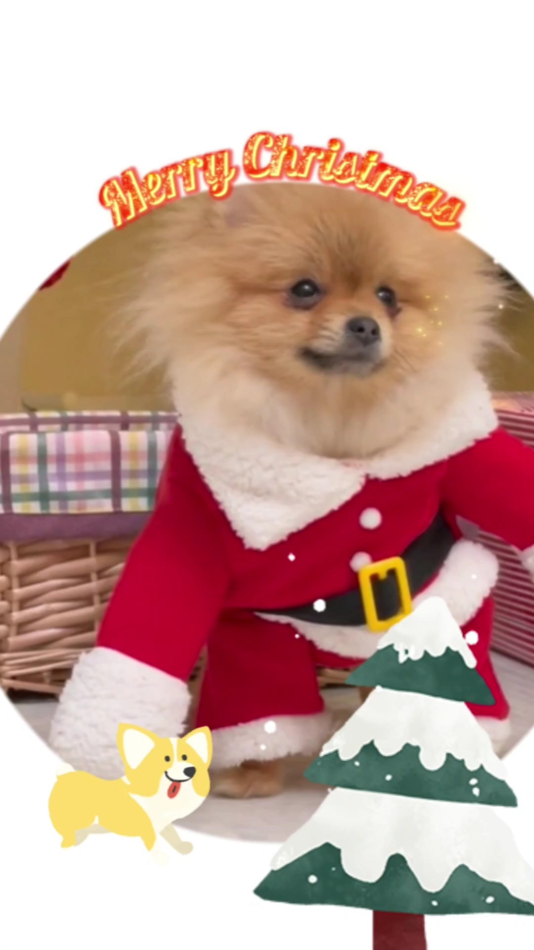 christmas countdown meme - Pippit