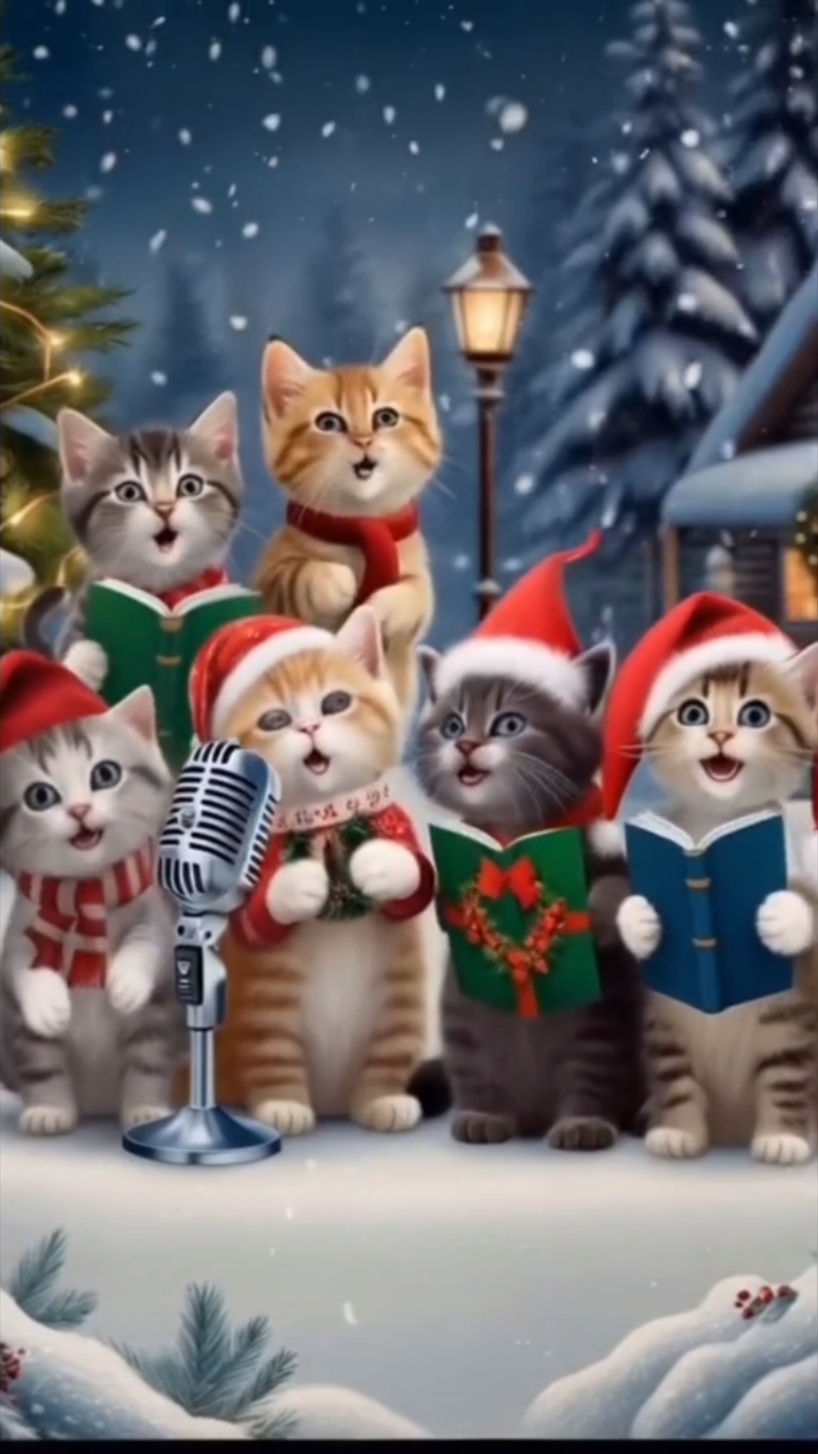 cute cat pfp christmas - Pippit