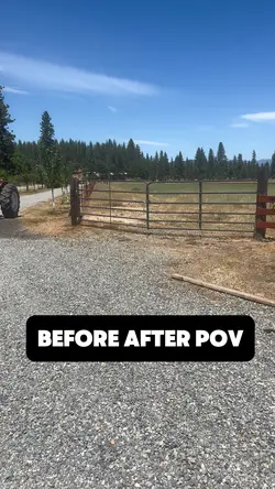 Before After Meme: Create Funny Comparisons Online Easily