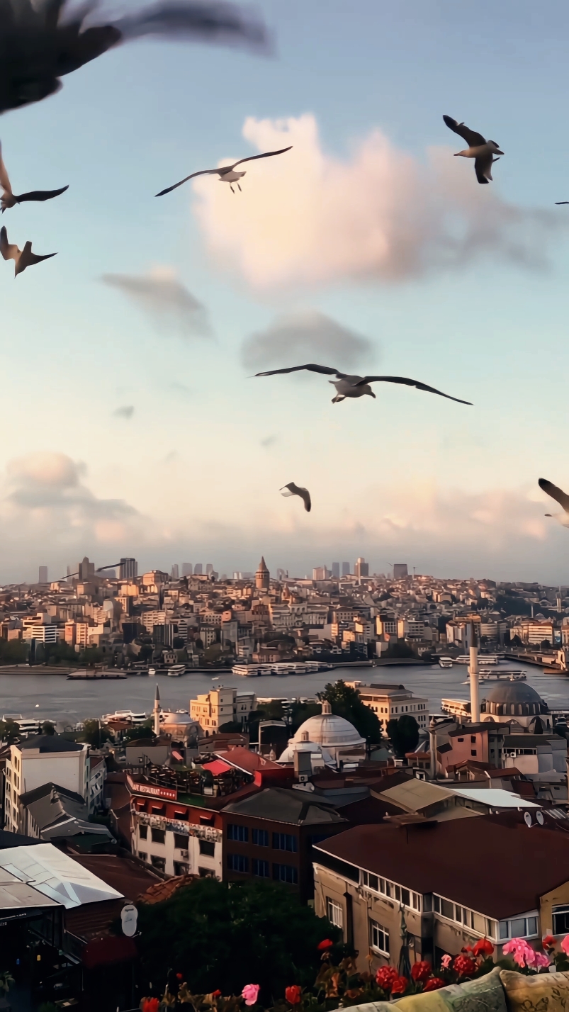 Arabic Music Free Template - Pippit