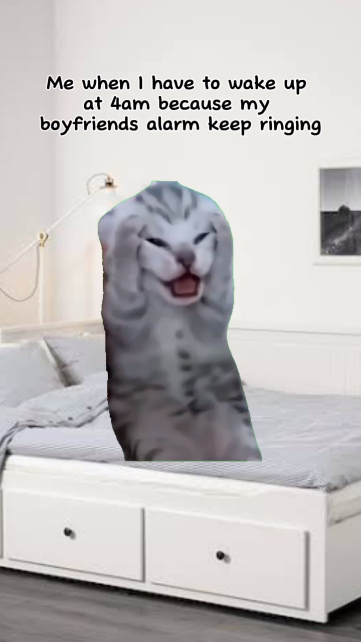 Gato Meme Maullando Llorando - Pippit