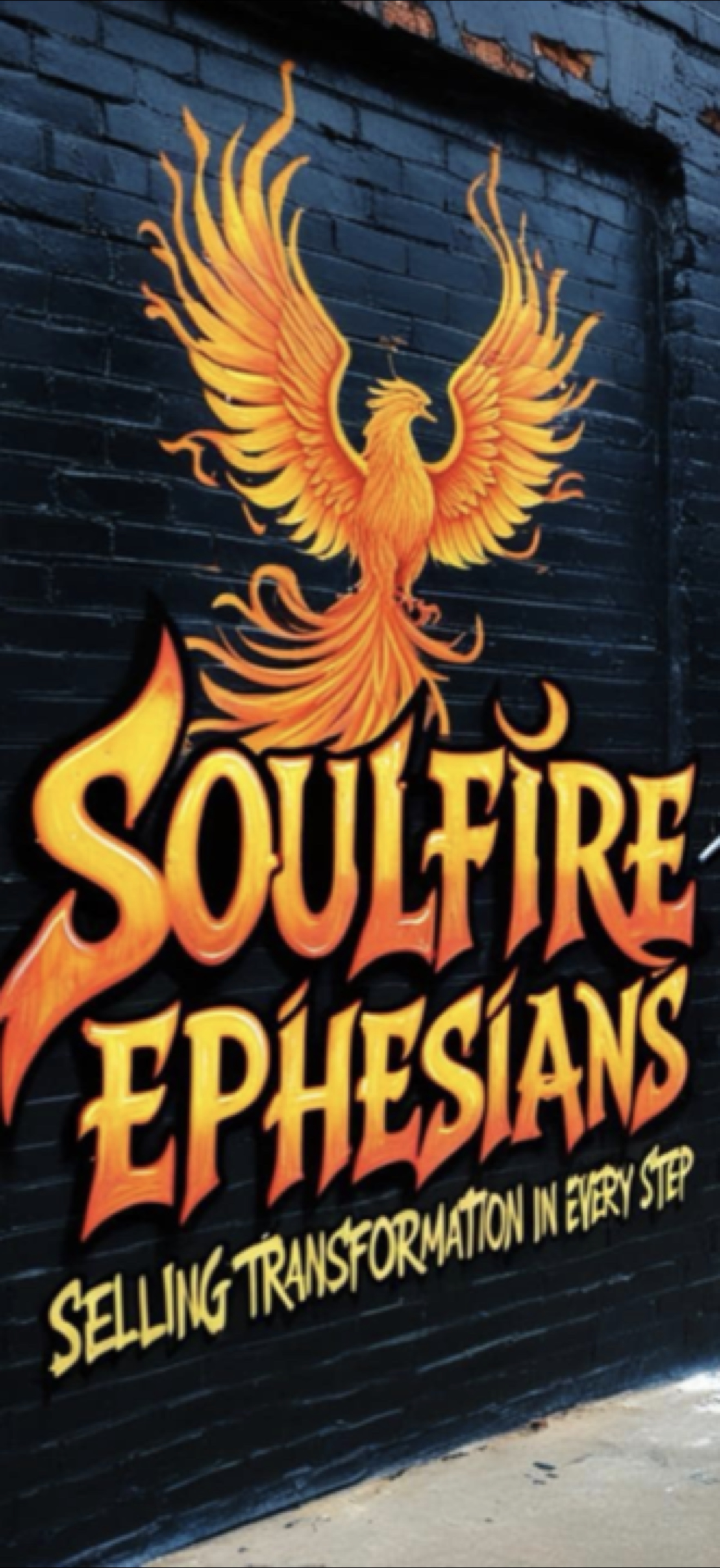 50 Photos Templates FX - Pippit