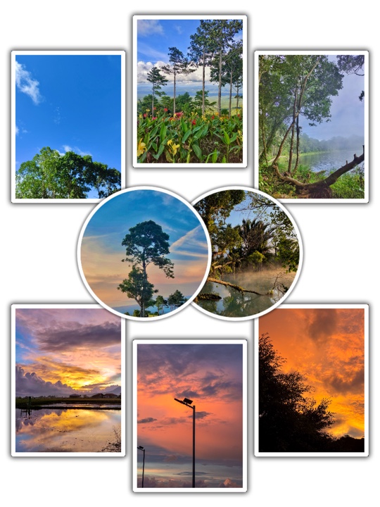 8Pic Grid Aesthetic - CapCut