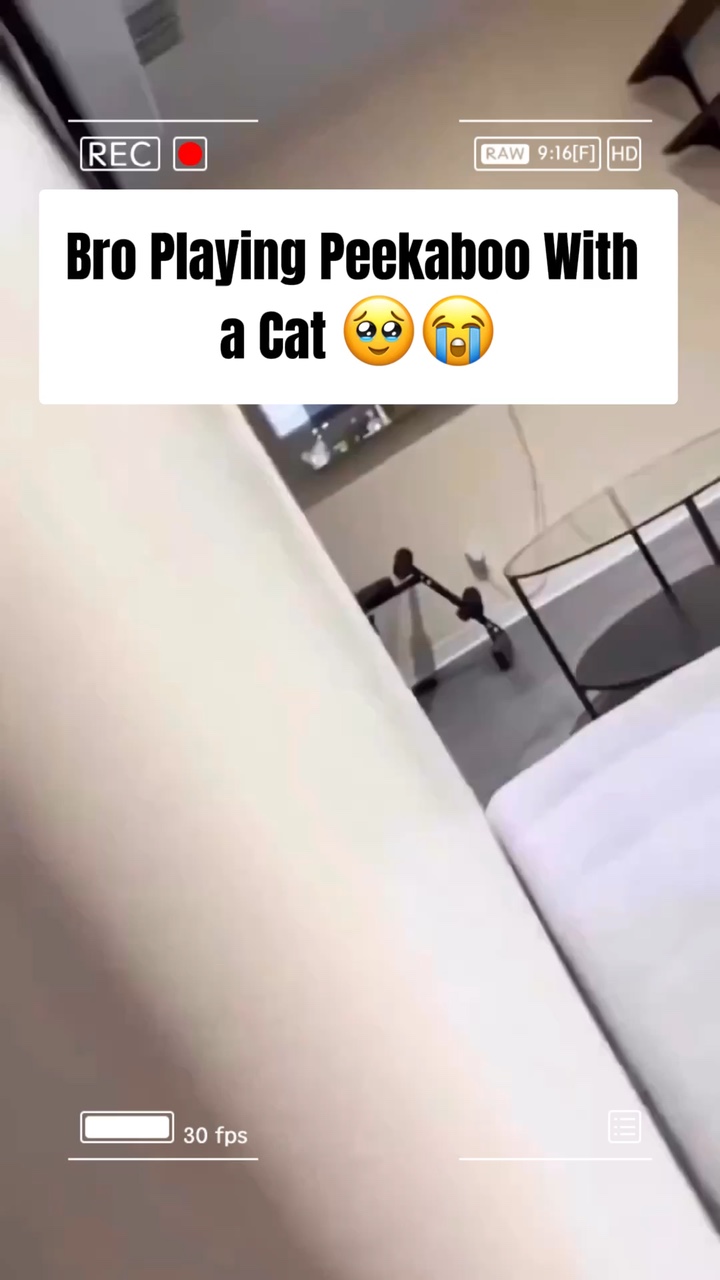 Meme Gritando - Pippit