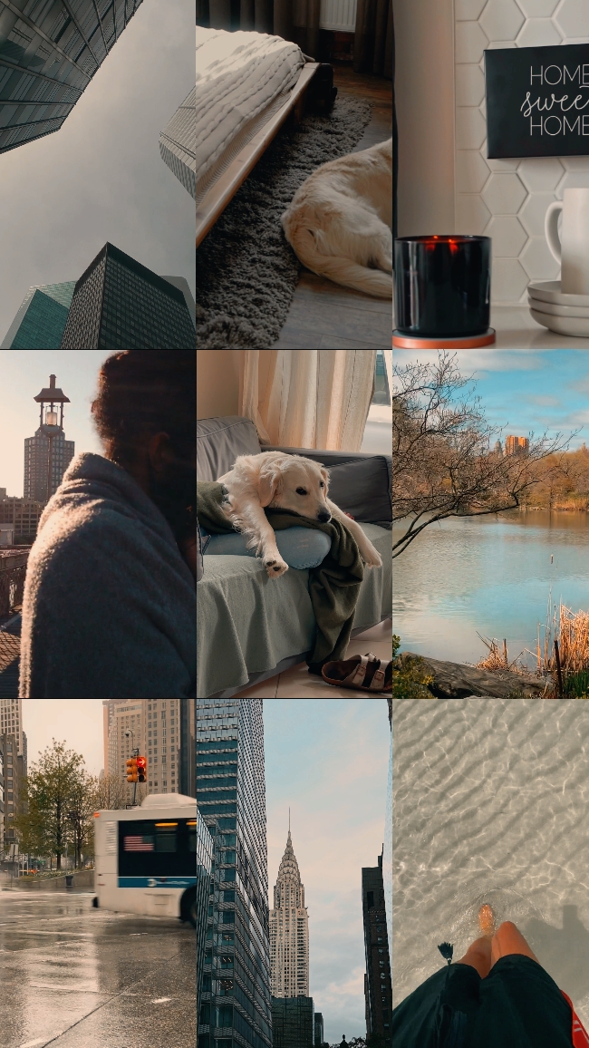 Photo Collage GIF - Pippit