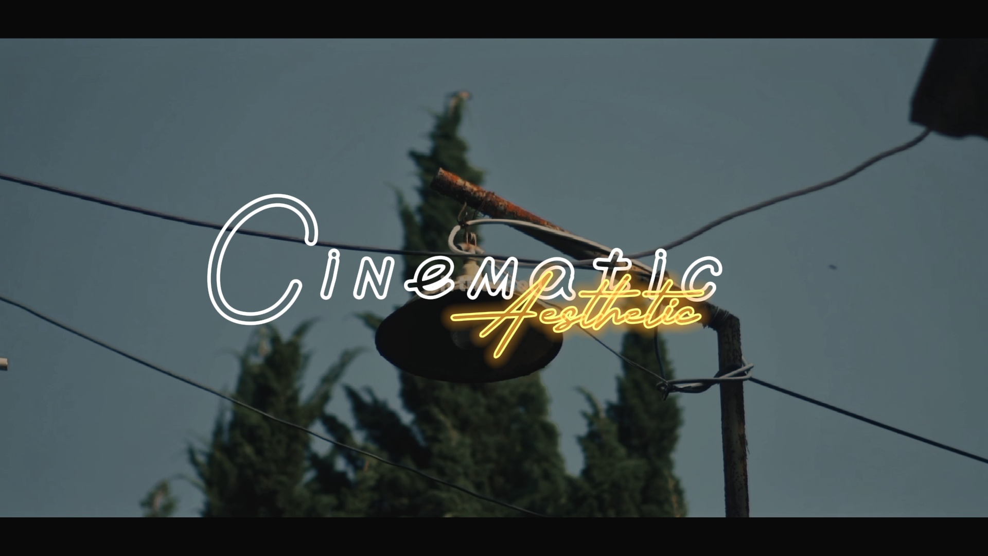 Cinematic Cameras Roll Film - Pippit