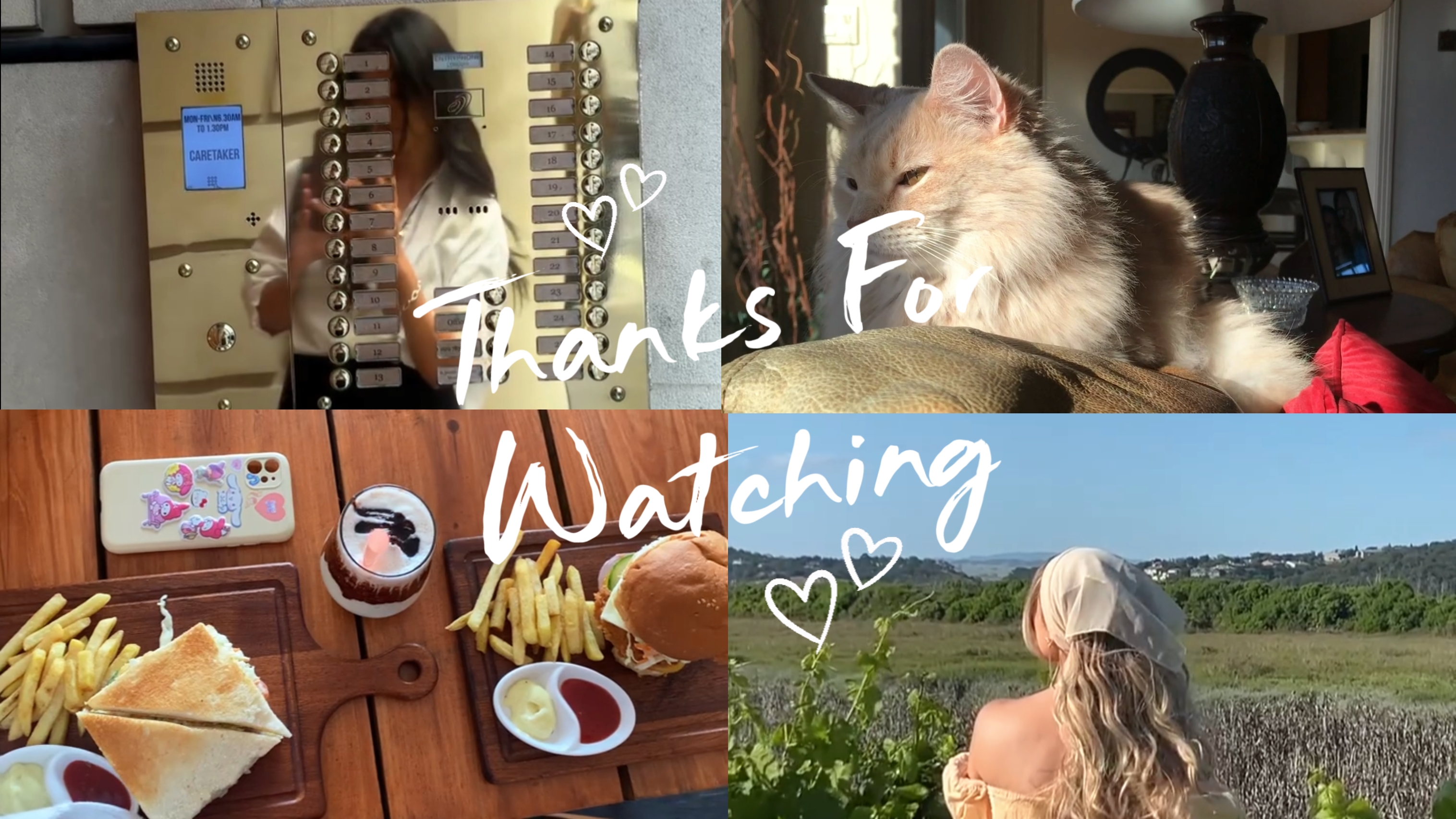 Ending Small Cam Template - Pippit