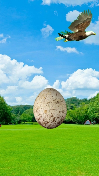 Meme Flying Chicken - Pippit