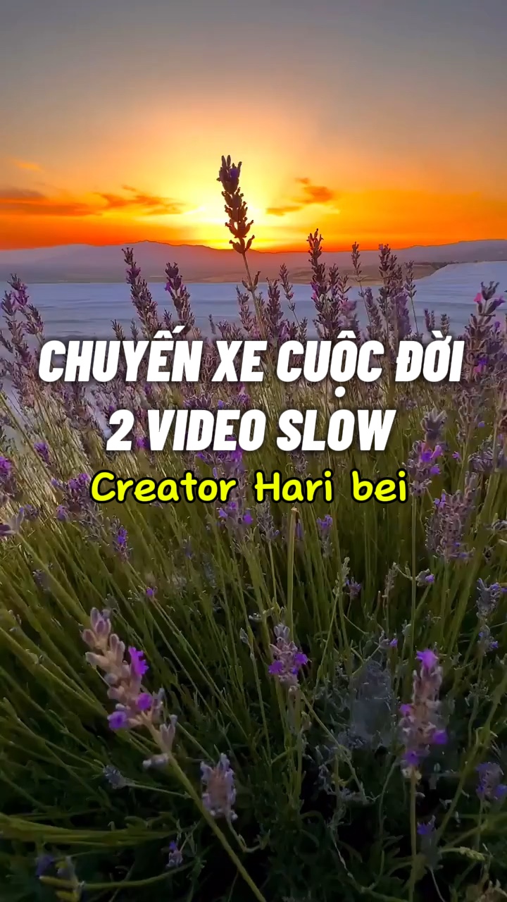 Transition Templates 2 Video 24 Second - Pippit