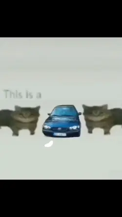 Toyota Meme: Discover the Funniest Car Memes Online