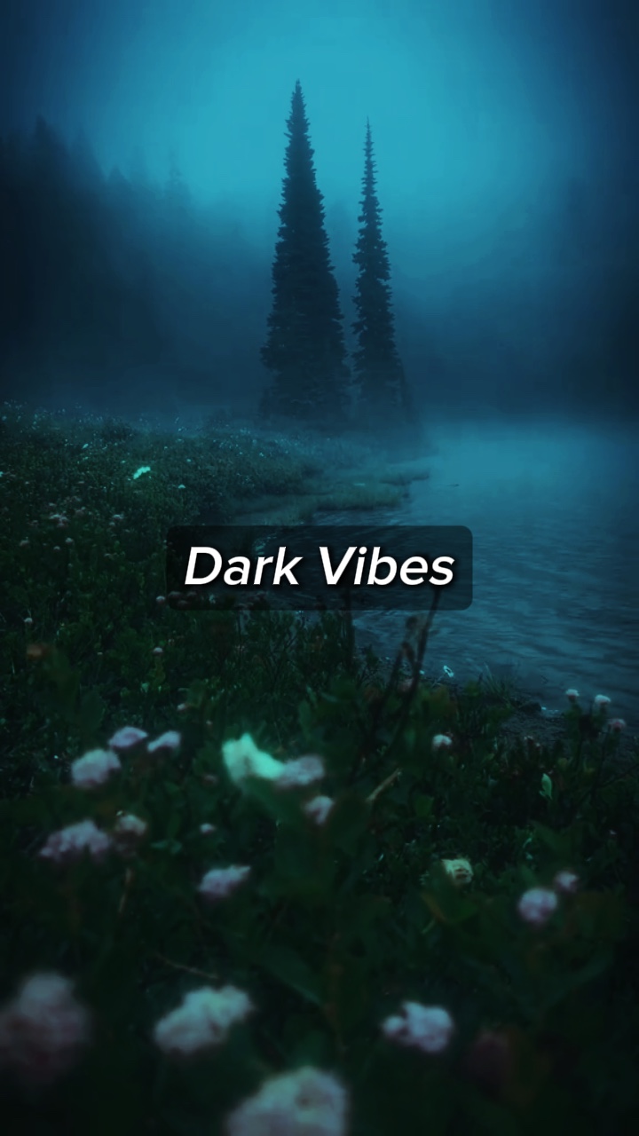 Fondo Azul Oscuro Suave - Pippit