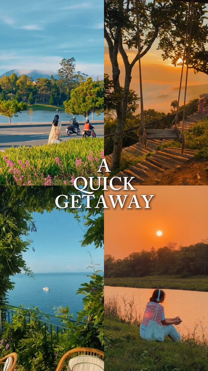 Travel Gyat - Pippit