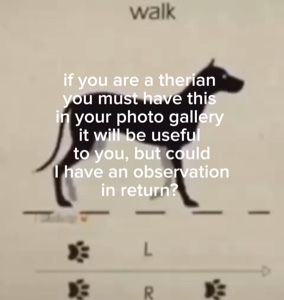 how to draw a therian - Pippit
