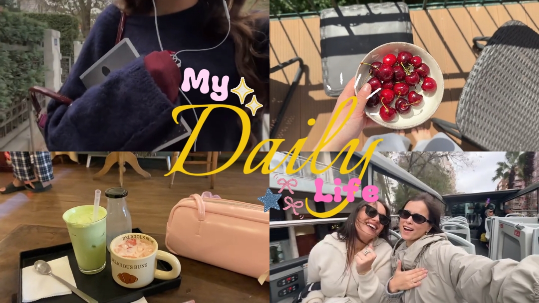 Introduction for Project Animation - Pippit